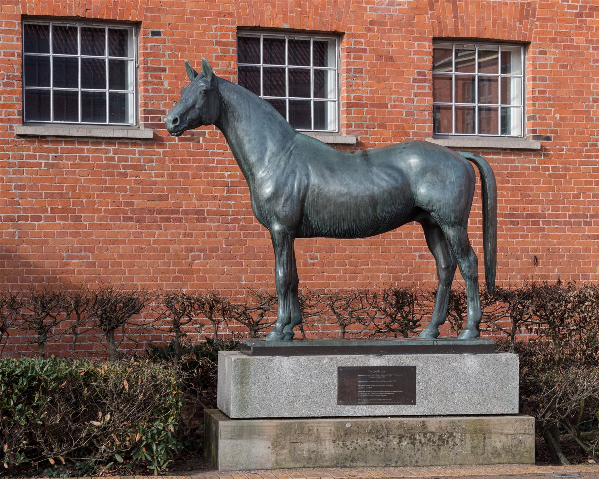 Trakehner